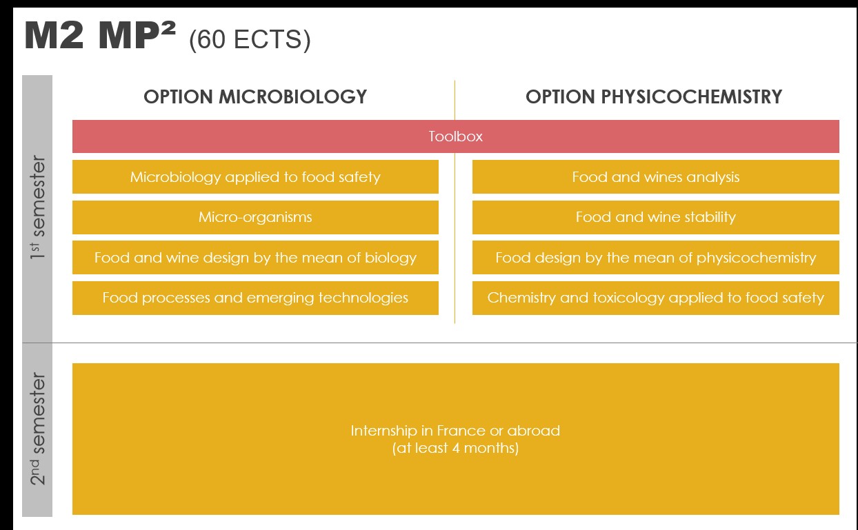 Master MP2 - COMUE Université Bourgogne-Franche-Comté